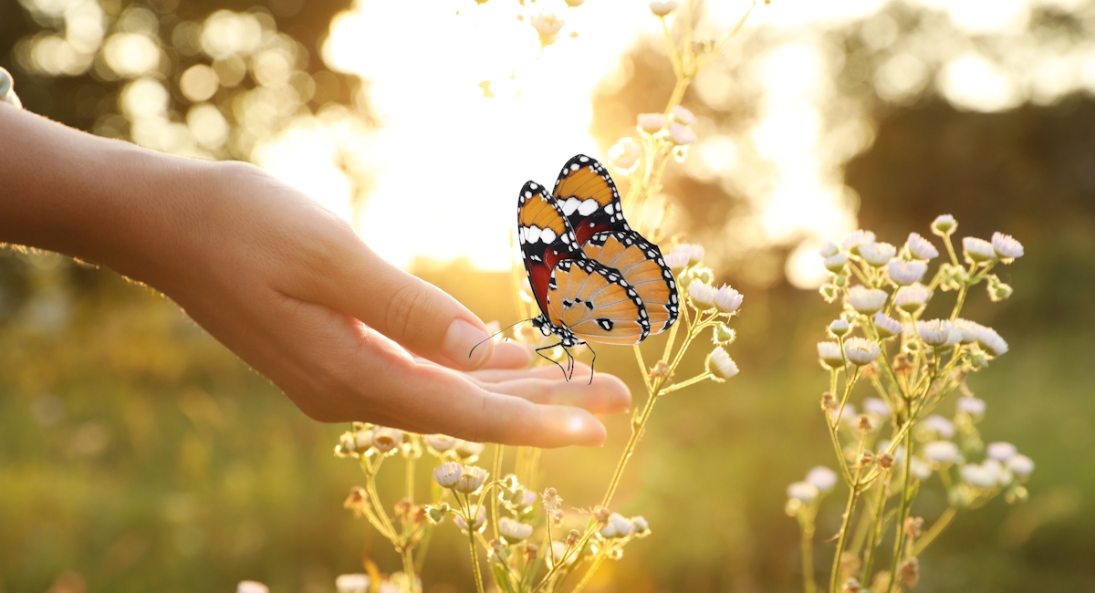 Healing Patch Applications - Home Nursing Agency Foundation